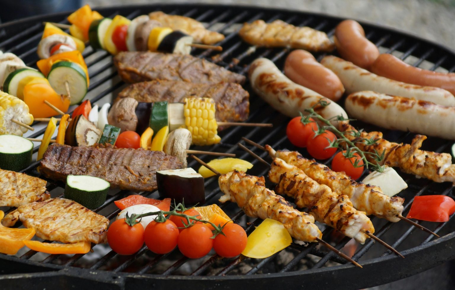 The Croc Meat Company – Premium Crocodile Meat Supplier - NewPLUG