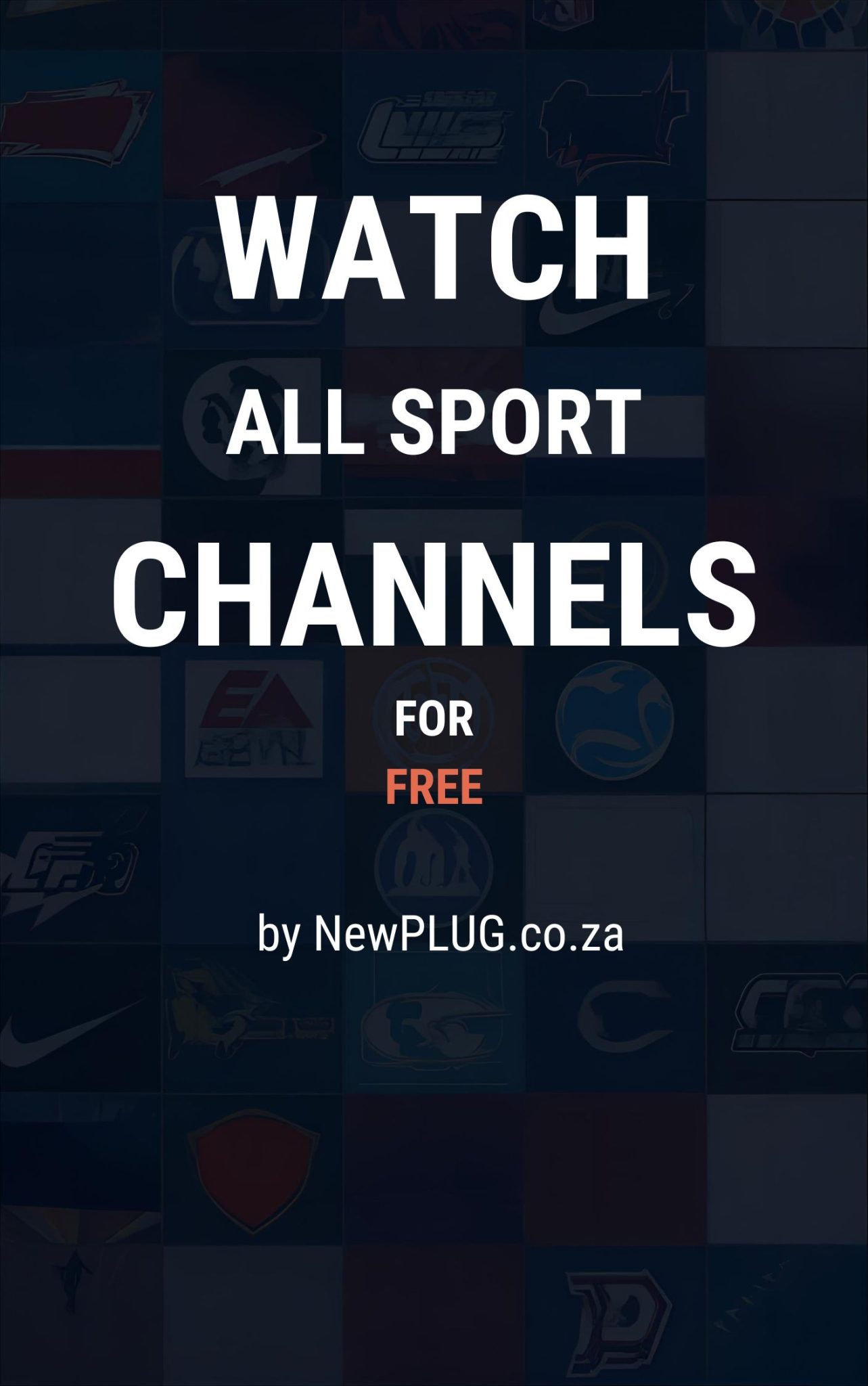 Watch All Sport Channels For Free PDF - Side Hustle Idea - NewPLUG